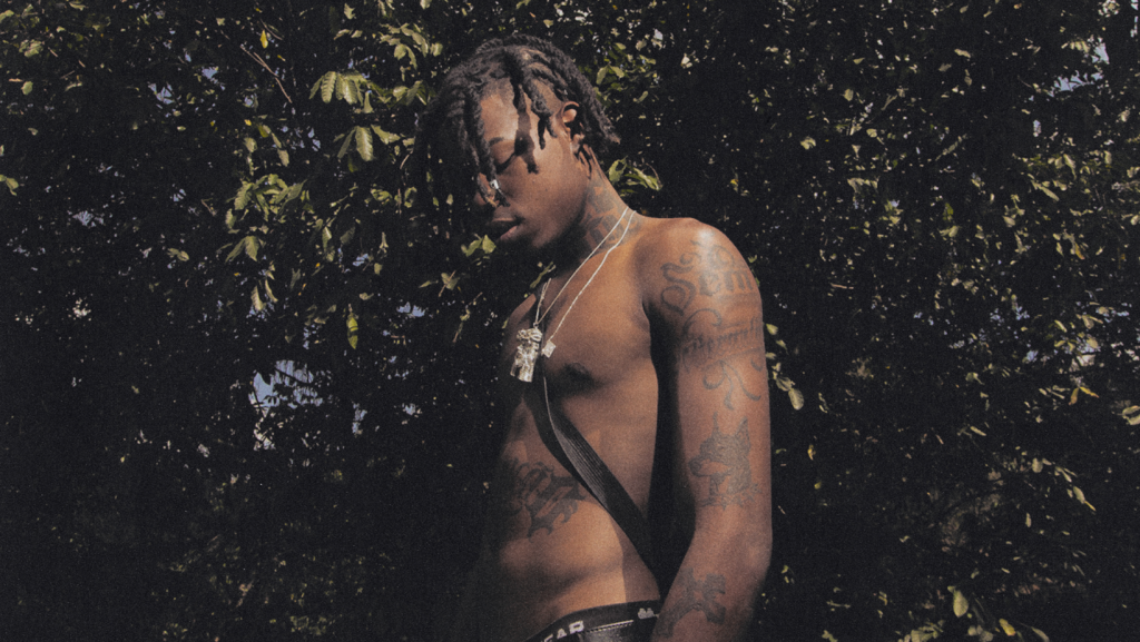 Rapper e influencer, LX lança Armadilha Brasileira Vol. 2 com apoio da ...